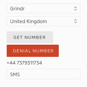 Create a Grindr Account Without a Phone Number: Step-by-Step Guide
